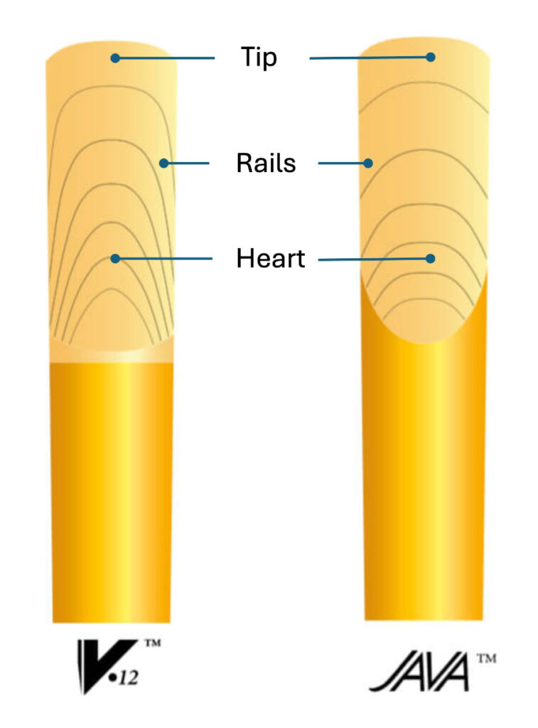 Good Vibrations: Why Reed Cut Matters - Sax Bandits